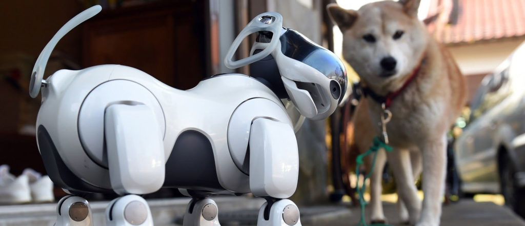 Future Robot Pets- End of The Road For Man’s Best Friend?