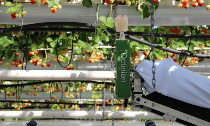 Robots a Helping Hand to Humans in Hazardous and Risky Jobs